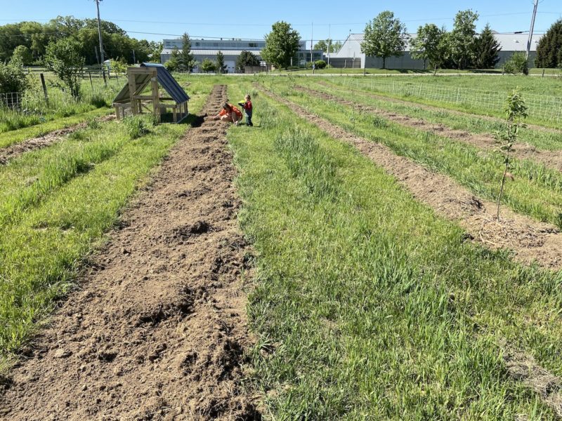 Beginners Guide to Self Sufficient Homesteading - From Scratch Farmstead