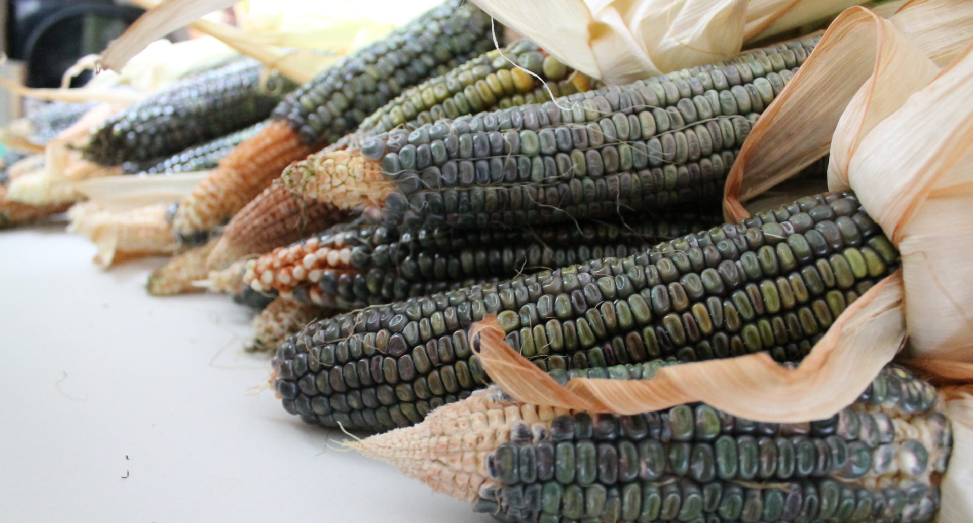 10 Essential Storage Crops You Need To Grow - From Scratch Farmstead