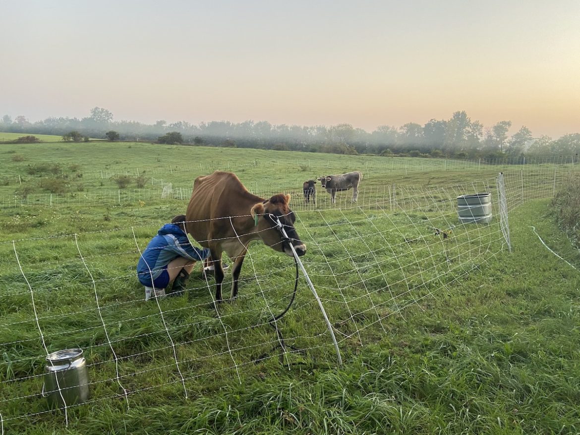 Why a 5 Acre Homestead is the Perfect Size for a Beginner - From ...