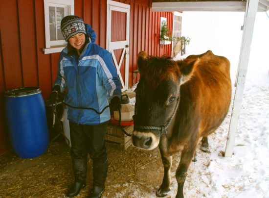 Owning a Family Milk Cow Basics - From Scratch Farmstead