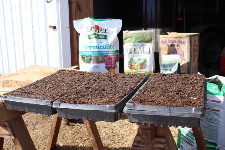 DIY Seed Starting Mix with Compost - From Scratch Farmstead
