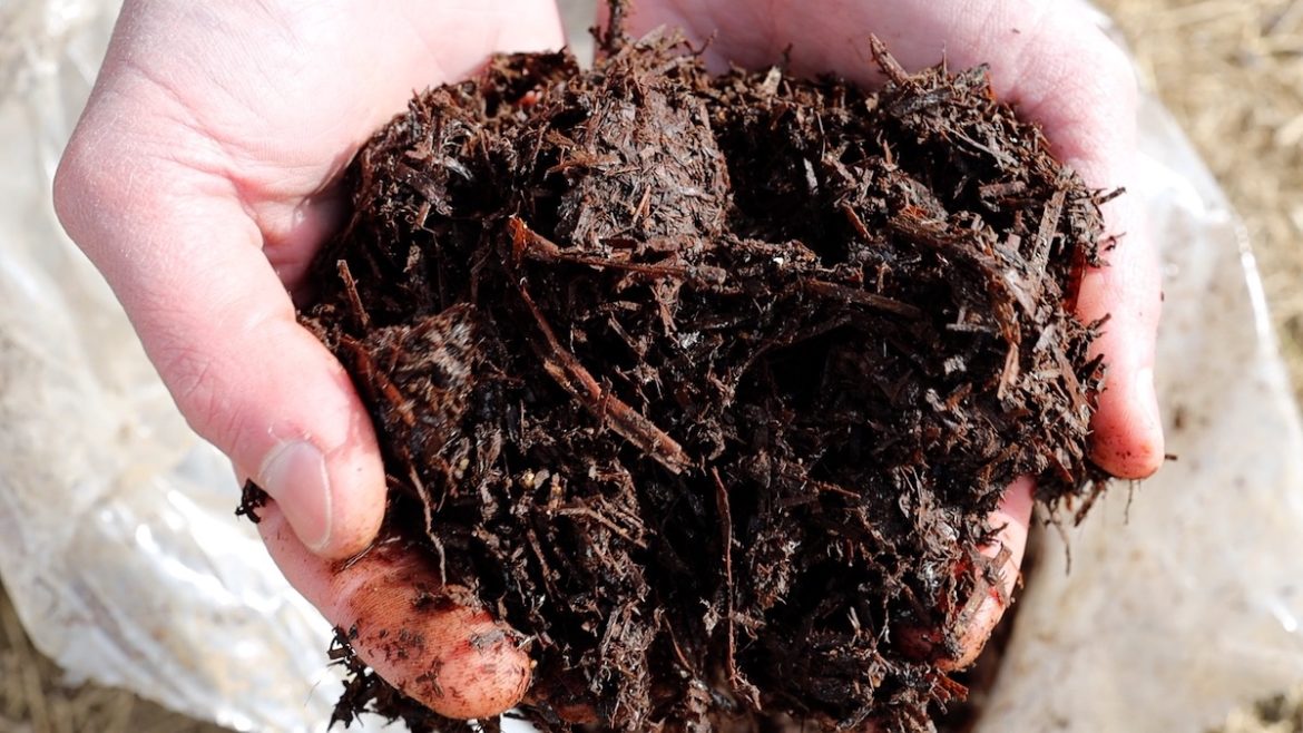 DIY Seed Starting Mix with Compost - From Scratch Farmstead