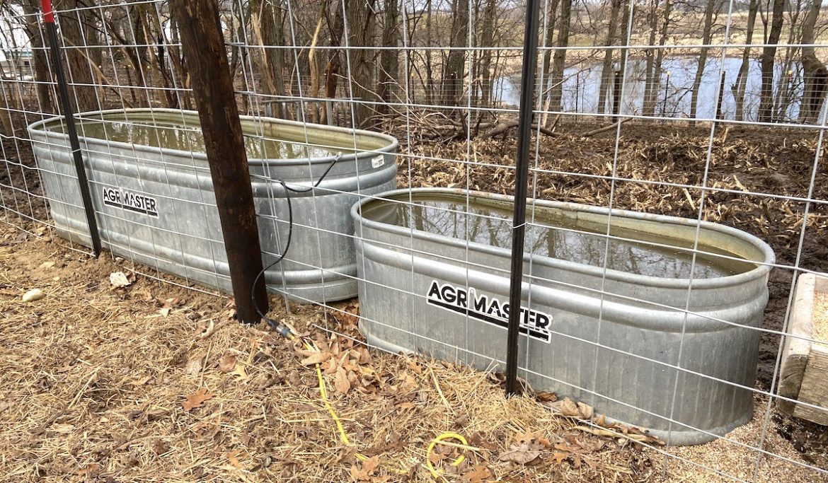 Quick Stock Tank Chick Brooder Box - From Scratch Farmstead