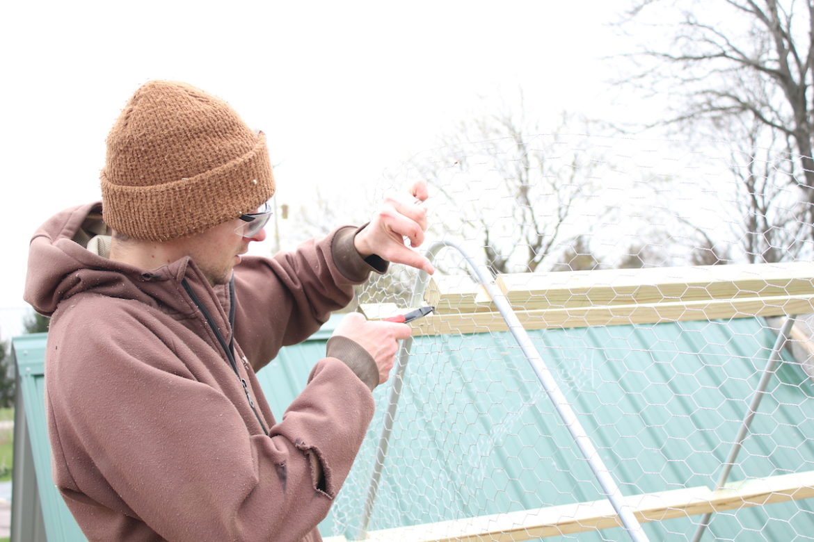 Chicken Tractor Plans for 25 Chickens-From Scratch Farmstead