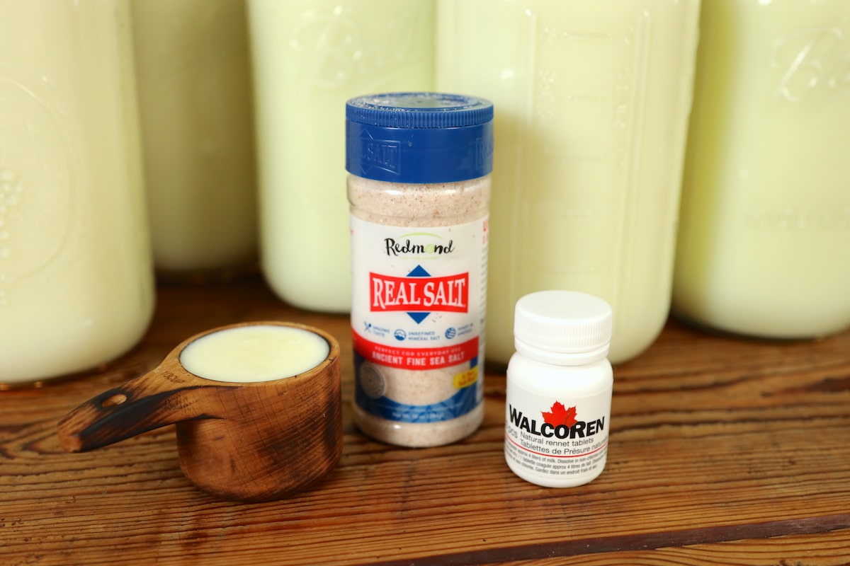 Easy Farmhouse Cheddar Hard Cheese Recipe