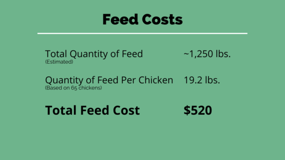Cost of Raising Chickens for Meat on a Small Scale - From Scratch Farmstead