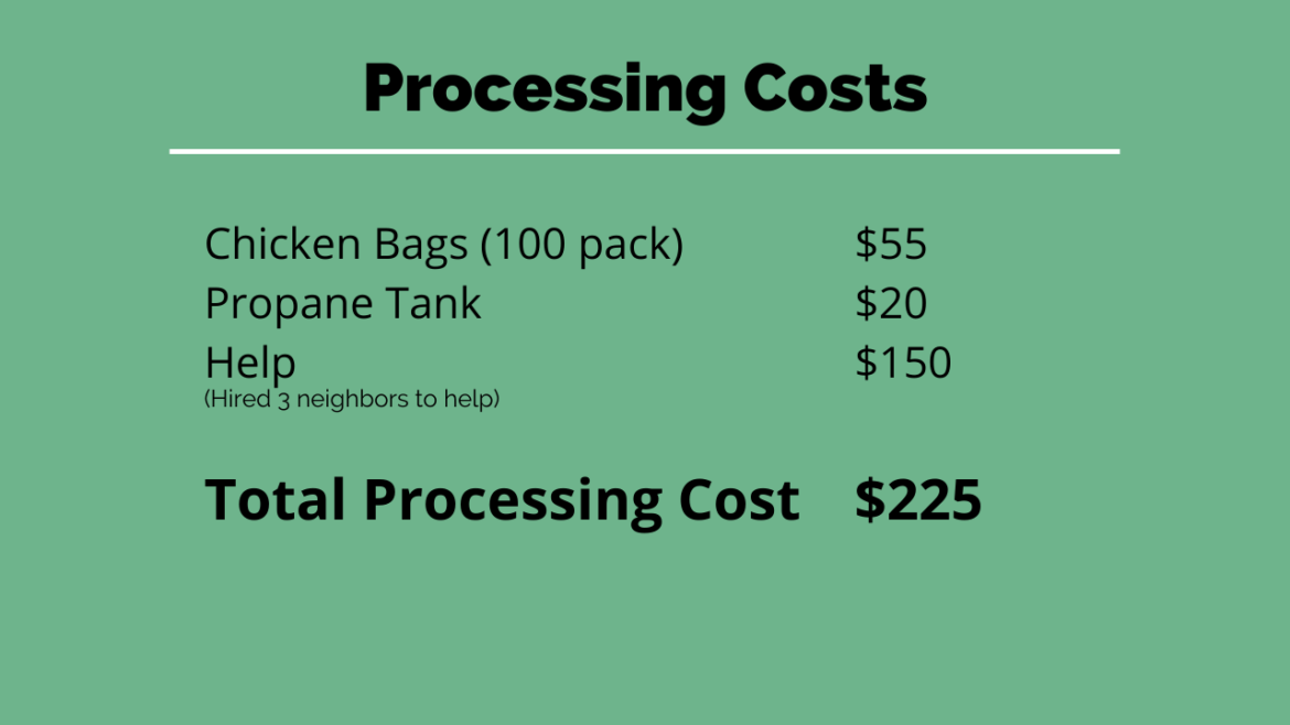 Cost of Raising Chickens for Meat on a Small Scale - From Scratch Farmstead