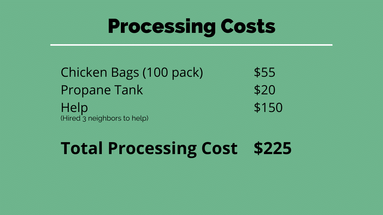 Cost of Raising Chickens for Meat on a Small Scale - From Scratch Farmstead