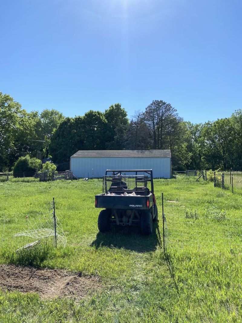 Beginners Guide to Processing Chickens at Home - From Scratch Farmstead