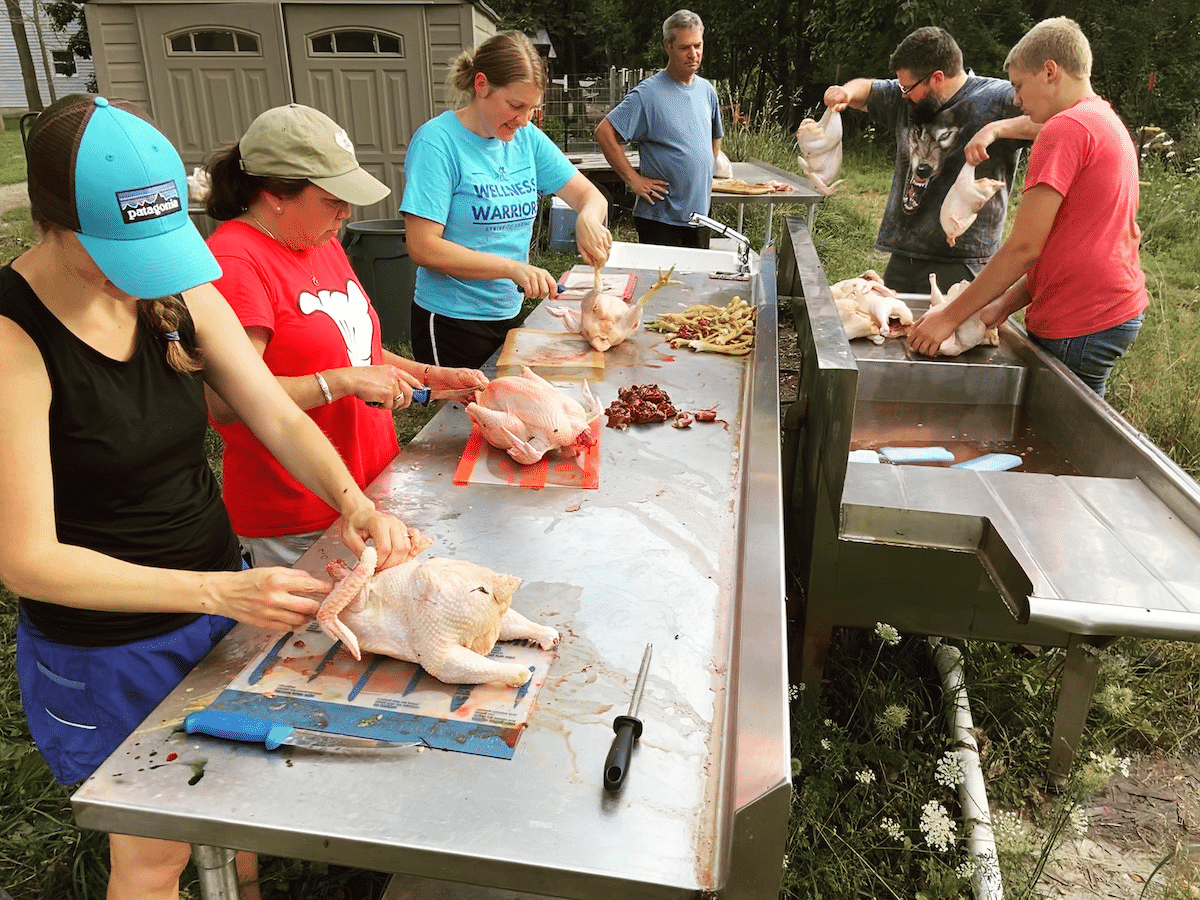 Beginners Guide to Processing Chickens at Home - From Scratch Farmstead