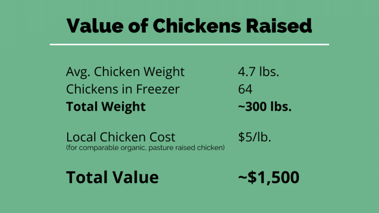 Cost of Raising Chickens for Meat on a Small Scale - From Scratch Farmstead