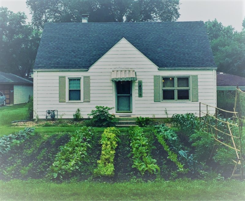 Urban Homesteading | 25 Ways To Begin Today - From Scratch Farmstead