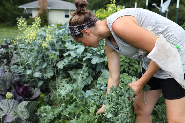 10 Best Homestead Layout Tips + 5 Acre Example - From Scratch Farmstead