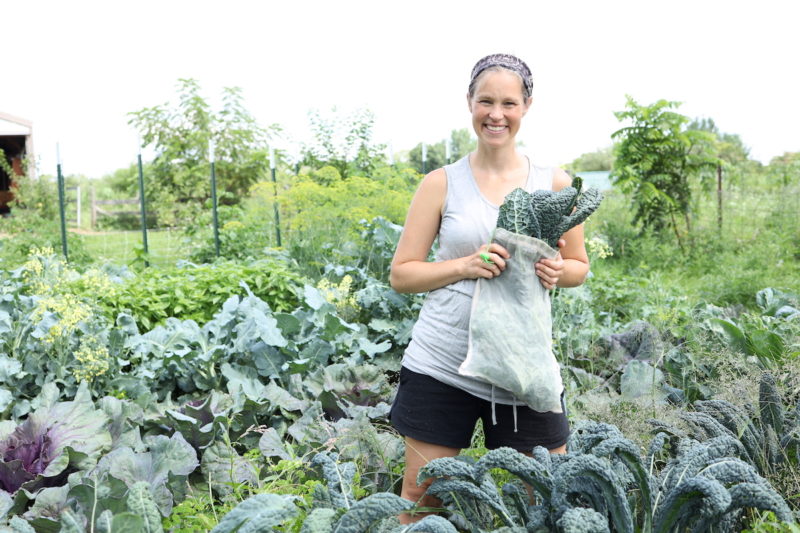 How to Make Kale Powder With or Without a Dehydrator - From Scratch ...