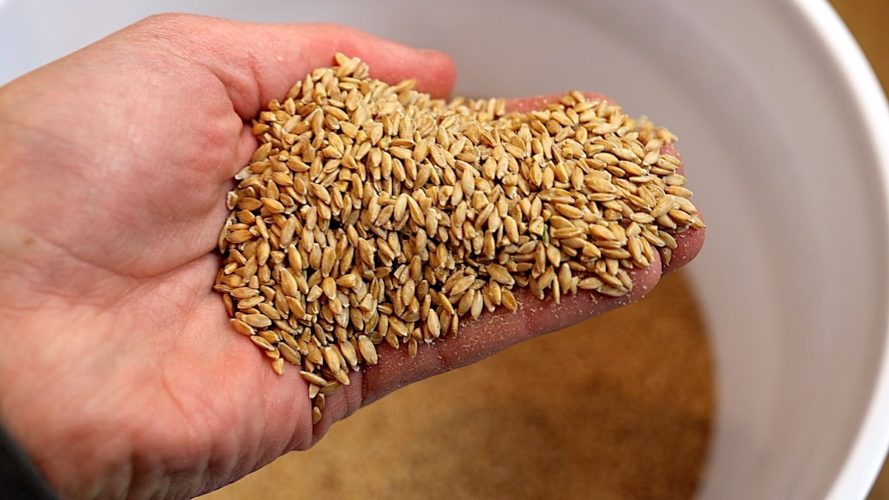 How to Make Flour | Using A Hand Grain Mill At Home - From Scratch ...