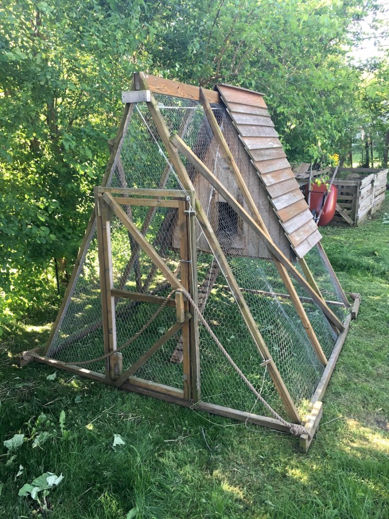 Simple DIY Chicken Coop Inside Your Barn - From Scratch Farmstead
