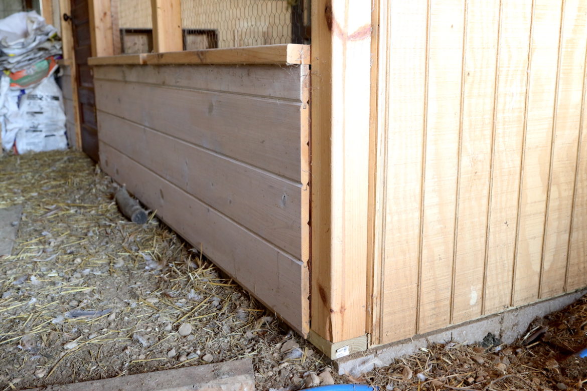Simple DIY Chicken Coop Inside Your Barn - From Scratch Farmstead