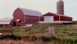 Farm vs. Homestead vs. Farmstead | What They Are and How To Choose ...