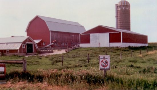 Farm vs. Homestead vs. Farmstead | What They Are and How To Choose ...