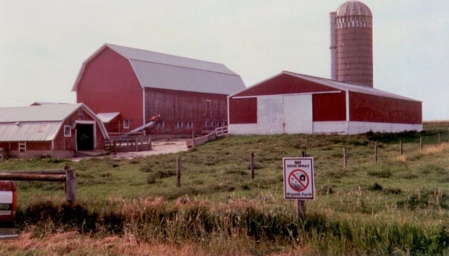 Farm vs. Homestead vs. Farmstead | What They Are and How To Choose ...