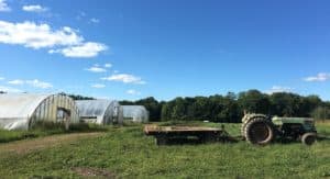 Farm vs. Homestead vs. Farmstead | What They Are and How To Choose ...