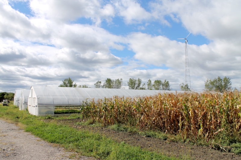 Top 10 Resources and Tips for Finding Farmland - From Scratch Farmstead