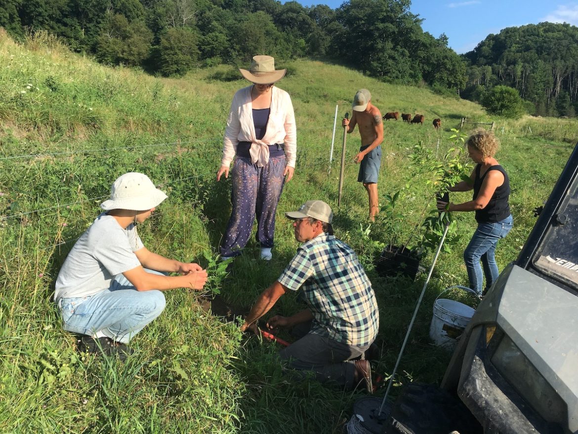 Homesteading Resources | Where To Begin In Your Homesteading Journey ...