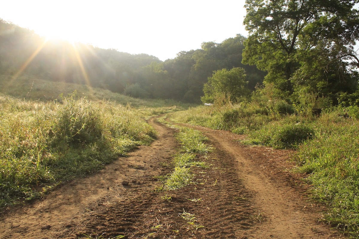 Top 10 Resources and Tips for Finding Farmland - From Scratch Farmstead