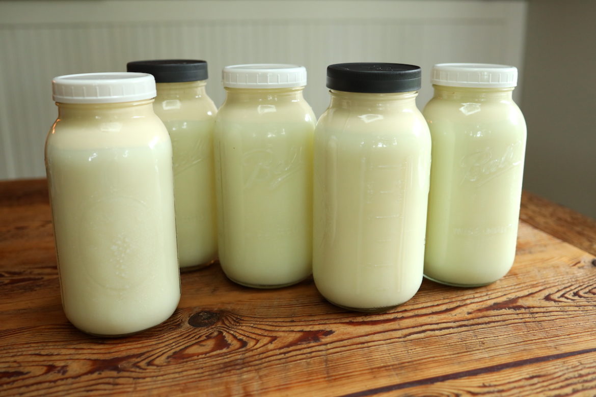 Raw Eggnog Recipe | Quick and Easy in 2 Minutes - From Scratch Farmstead