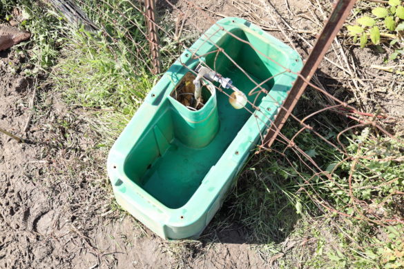 Jug Waterer Review | Best Automatic Waterer For Farms And Homesteads ...