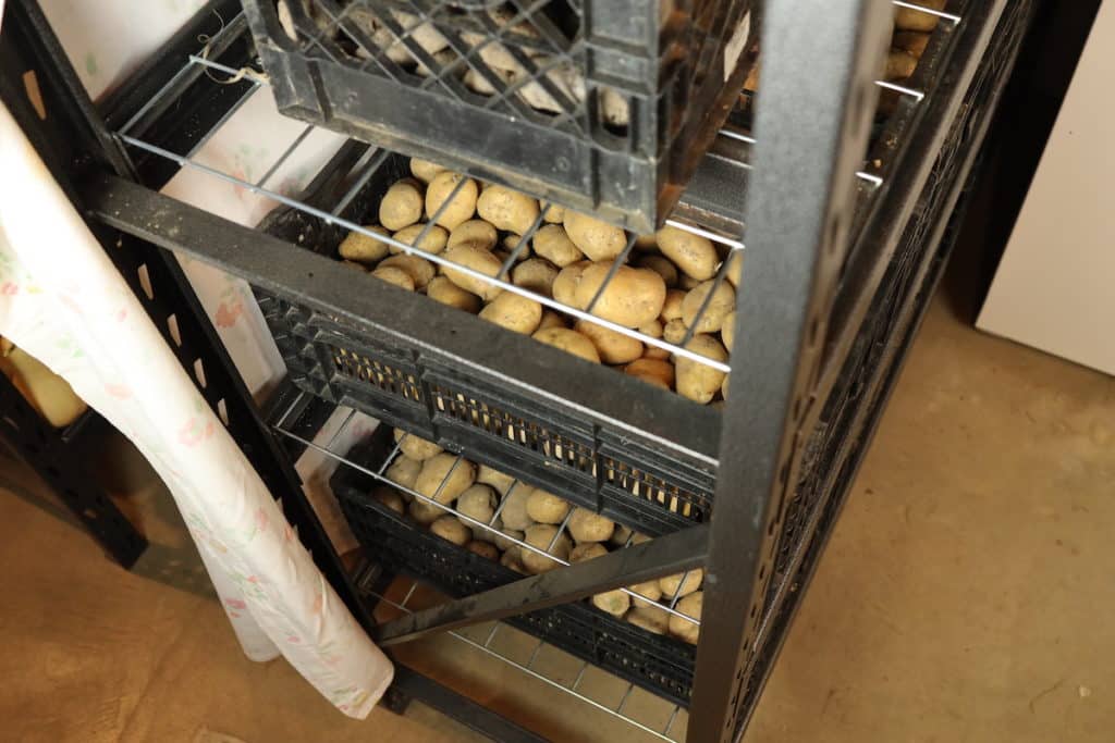 10 Essential Storage Crops You Need To Grow - From Scratch Farmstead