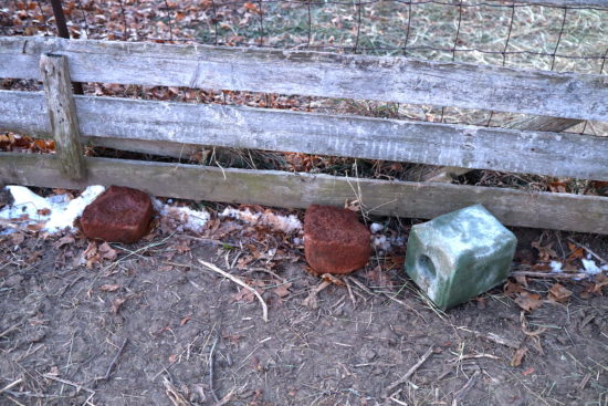 Cows In Winter 101 | How To Keep Dairy or Beef Cattle Warm and Happy