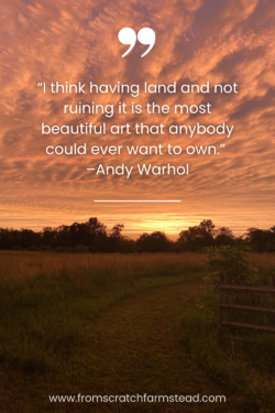 25 Homesteading Quotes To Empower And Inspire - From Scratch Farmstead