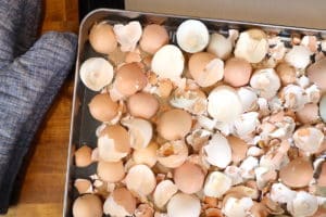 How To Make Eggshell Powder - From Scratch Farmstead