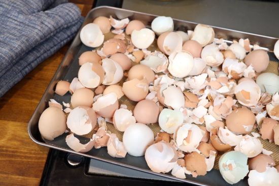 How To Make Eggshell Powder - From Scratch Farmstead