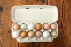 Farm Fresh Eggs | What's the Difference and How to Use Them Safely ...