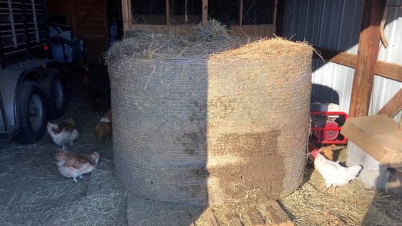 How To Feed Round Hay Bales By Hand - From Scratch Farmstead