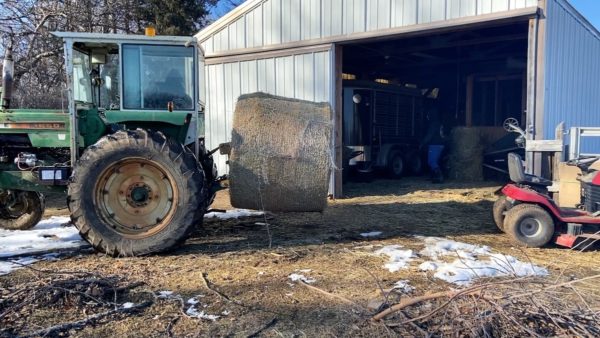 How To Feed Round Hay Bales By Hand - From Scratch Farmstead