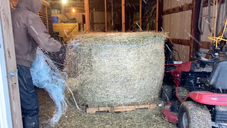How To Feed Round Hay Bales By Hand - From Scratch Farmstead