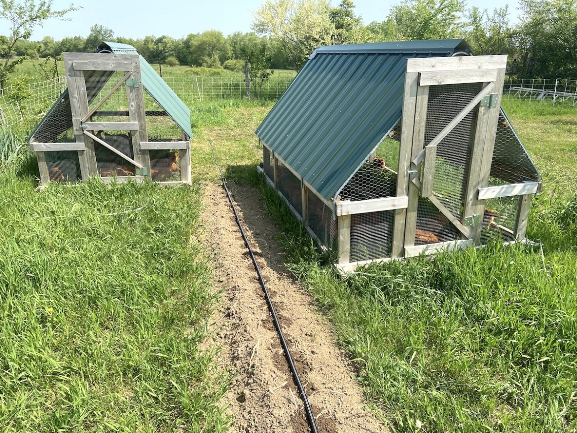 Drip Depot Review + How To Build A Drip System - From Scratch Farmstead