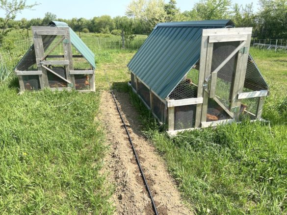 Drip Depot Review + How To Build A Drip System - From Scratch Farmstead