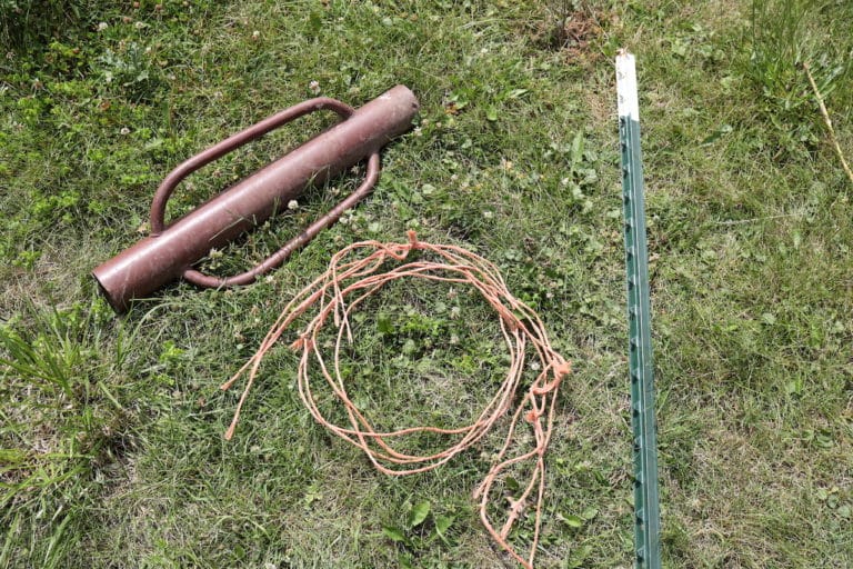 T-Post Tomato Trellis - Easy and Foolproof Trellising Method - From ...