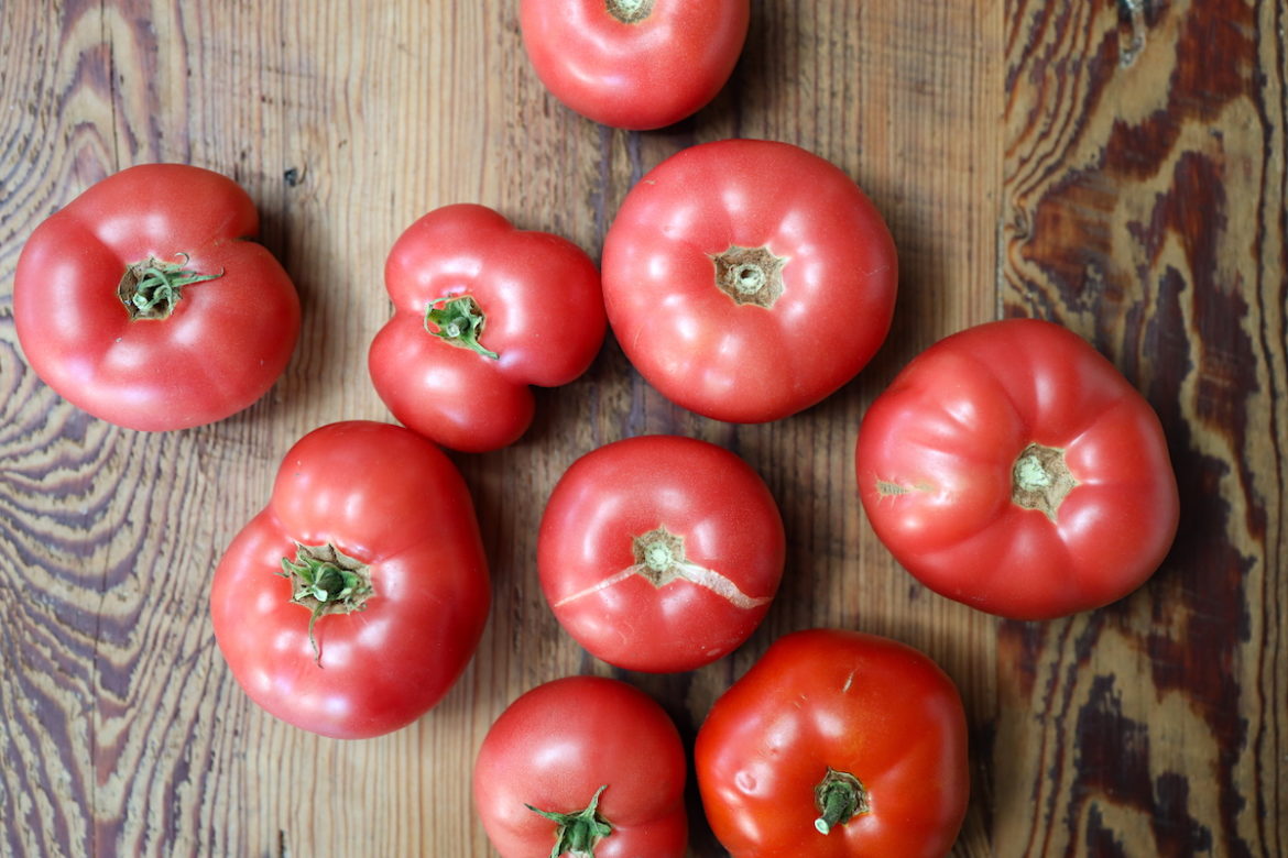 Sugar Free Tomato Sauce (Easy, no peel recipe!) - From Scratch Farmstead