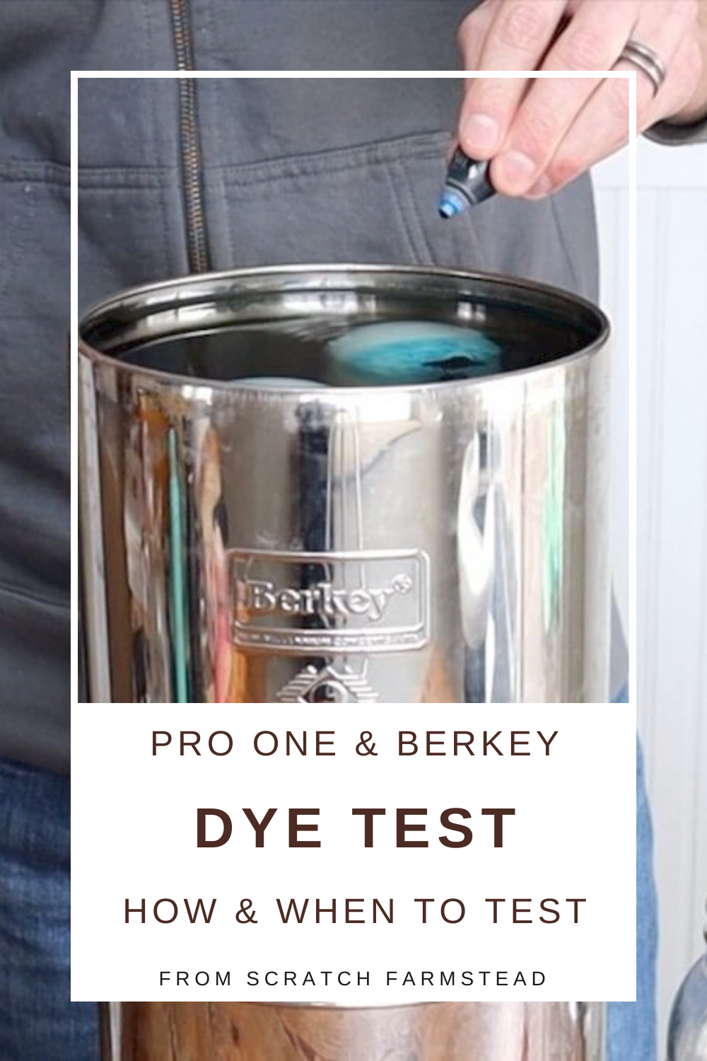 ProOne And Berkey Dye Test (How & When To Test) - From Scratch Farmstead