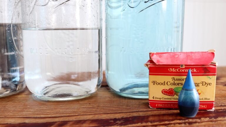 ProOne And Berkey Dye Test (How & When To Test) - From Scratch Farmstead