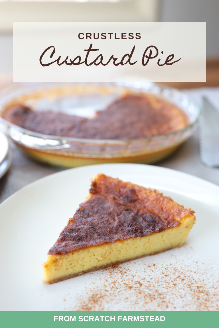 EASY Crustless Custard Pie (Options for Gluten Free) - From Scratch ...