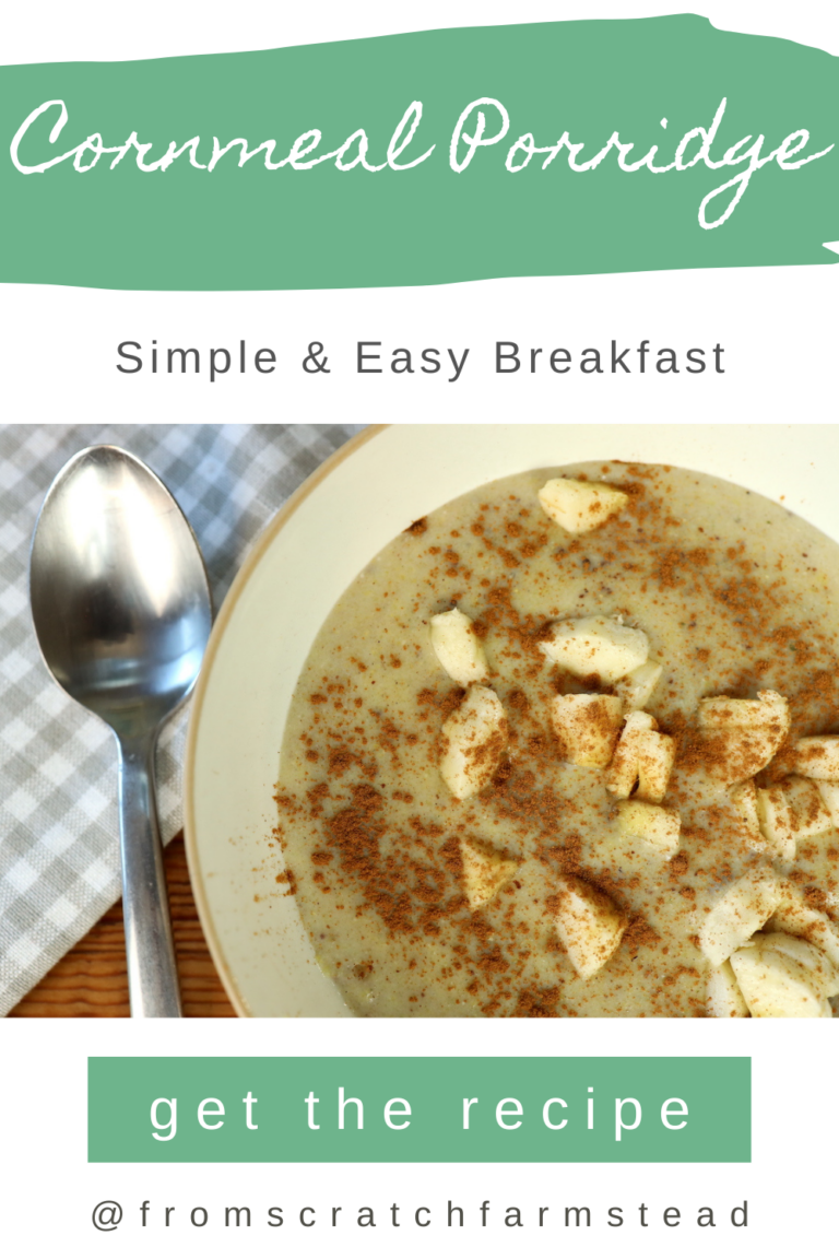 Simple Cornmeal Porridge - From Scratch Farmstead