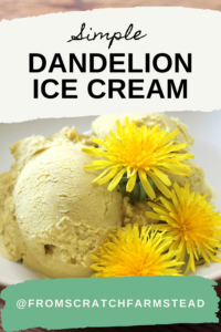 Simple Homemade Dandelion Ice Cream - From Scratch Farmstead