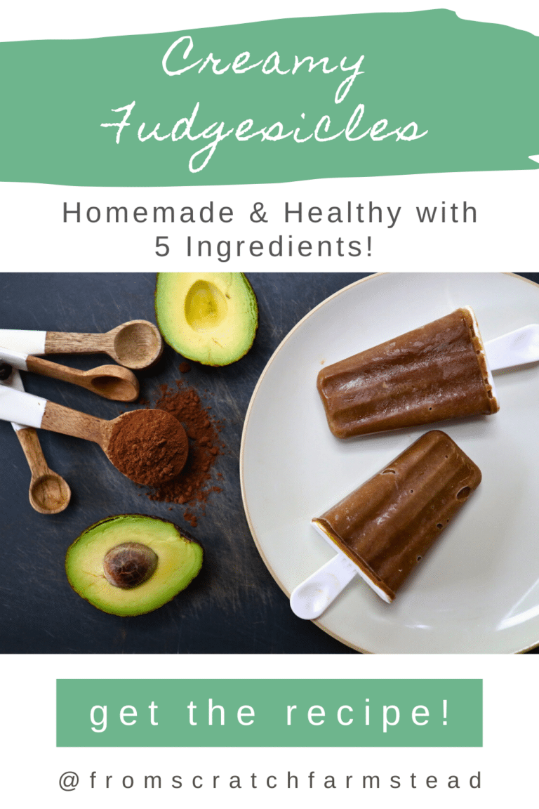 Easy Creamy Fudgesicles (Homemade with 5 Ingredients) - From Scratch ...