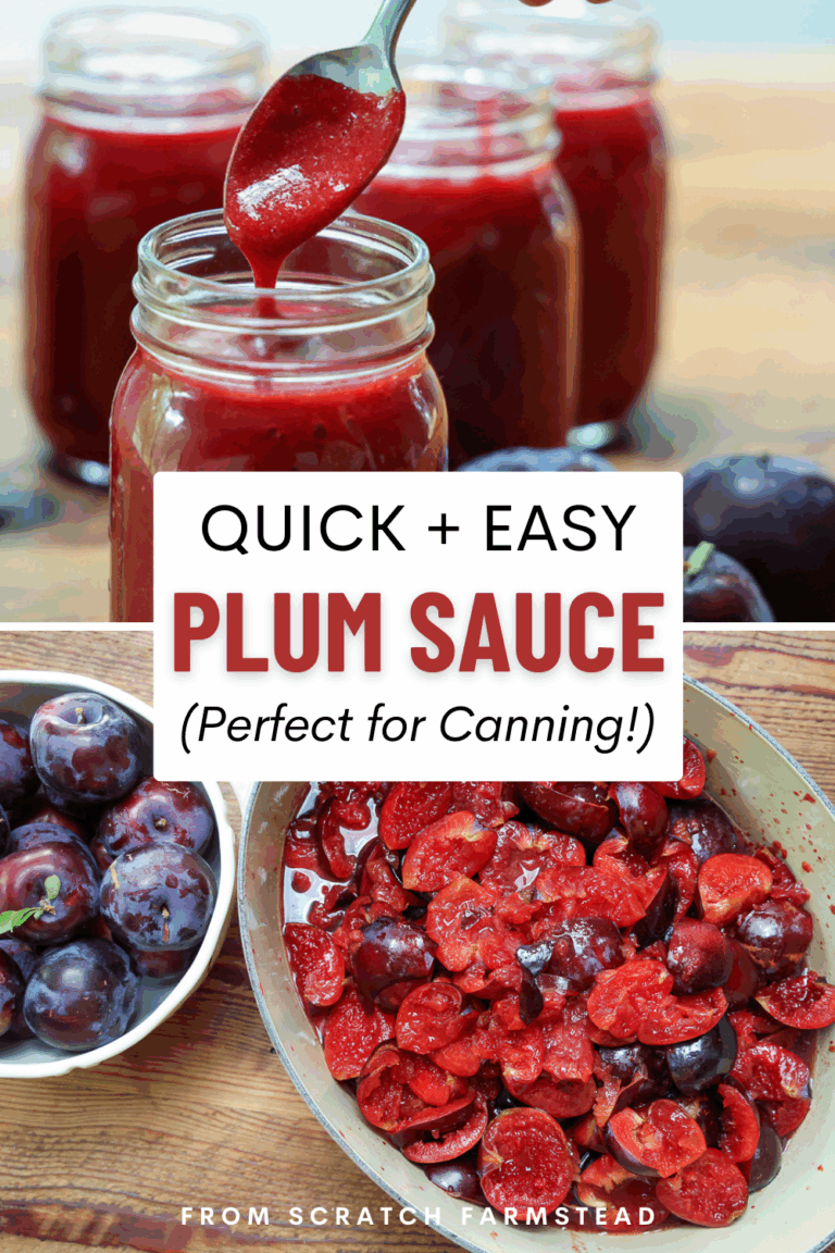 Easy Homemade Plum Sauce (Only 1 Ingredient) - From Scratch Farmstead